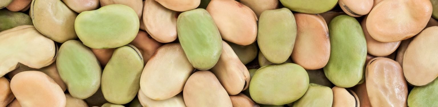 Agro Commodities – Grainica